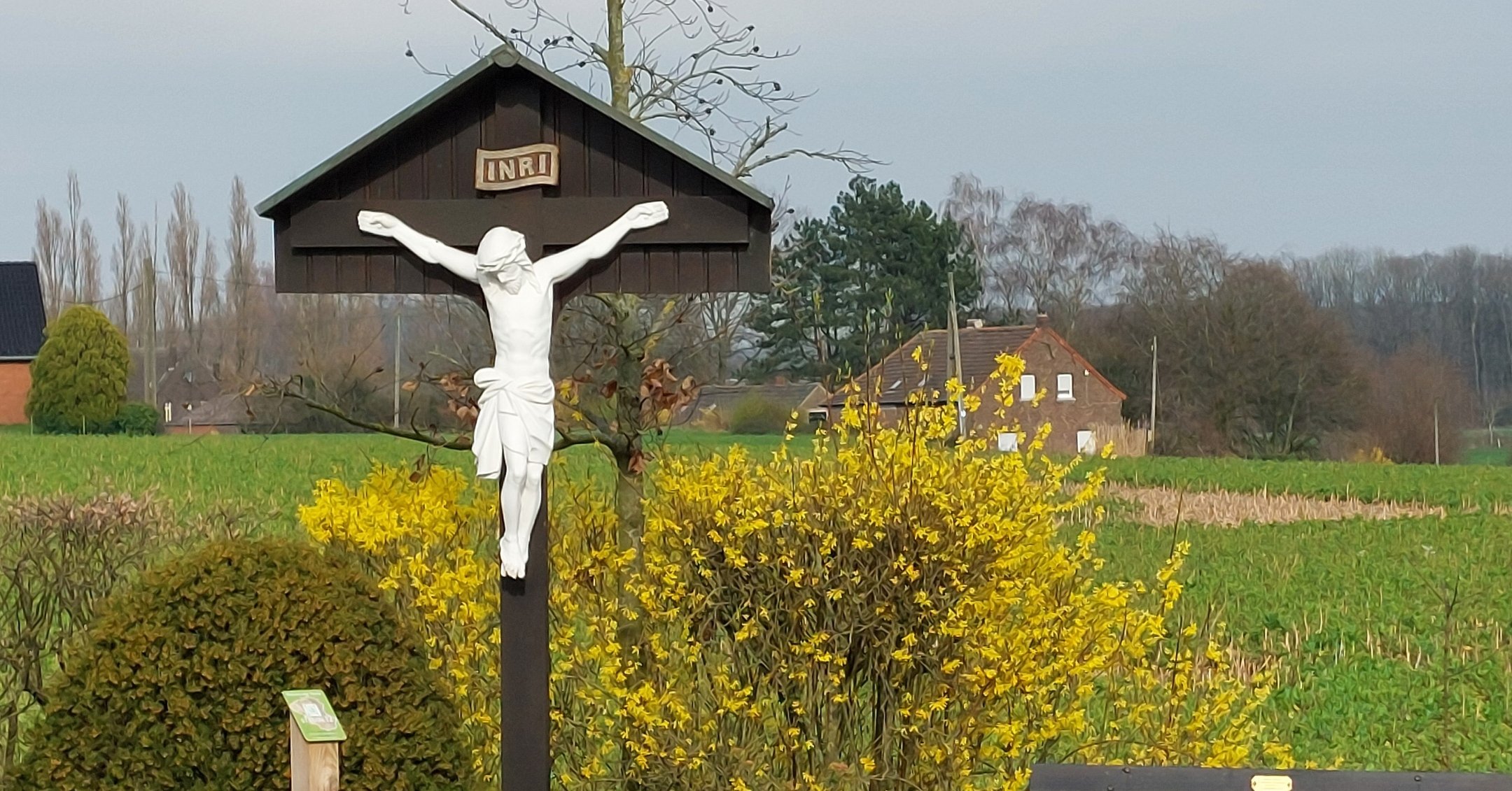 Impuls für Mittwoch der vierten Fastenwoche | Pfarrei St. Michael Krefeld